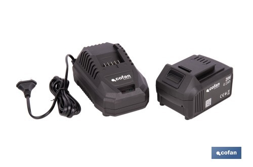 Pack of 20 V 4.5 A charger + 20 V 4.0 Ah Li-Ion battery | Compatible ...